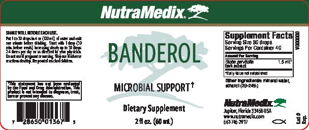 Banderol by NutraMedix 2oz - Energy Healing Approach
