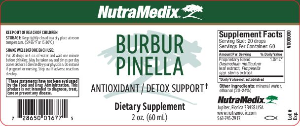 Burbur Pinella by NutraMedix - Energy Healing Approach