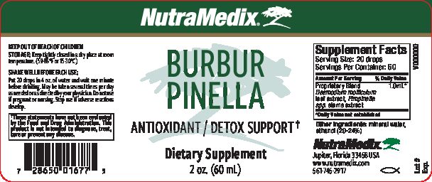 Nutramedix Burbur Pinella - Energy Healing Approach