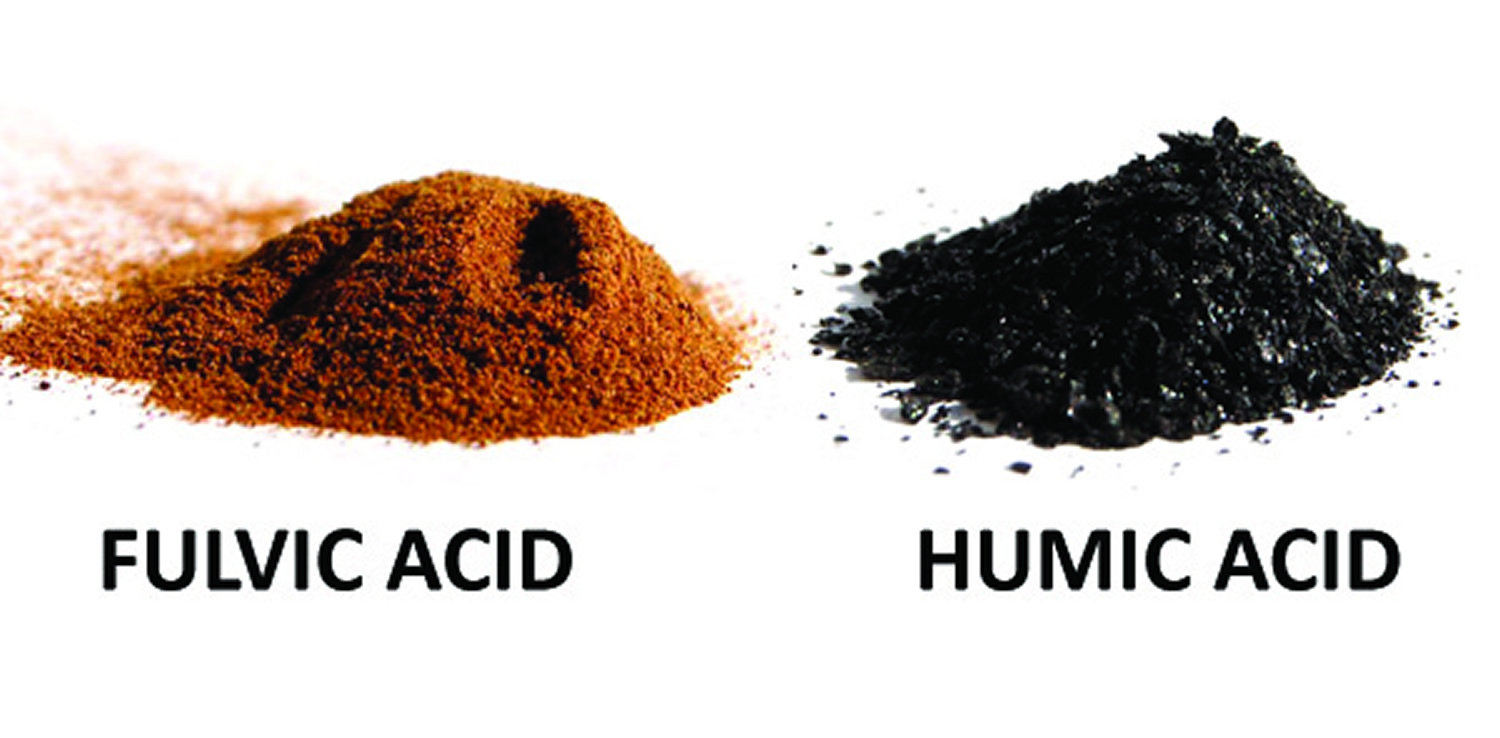 The Difference Between Fulvic Acid and Humic Acid - Energy Healing Approach